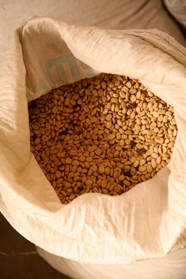 Madan Coffee Plantation